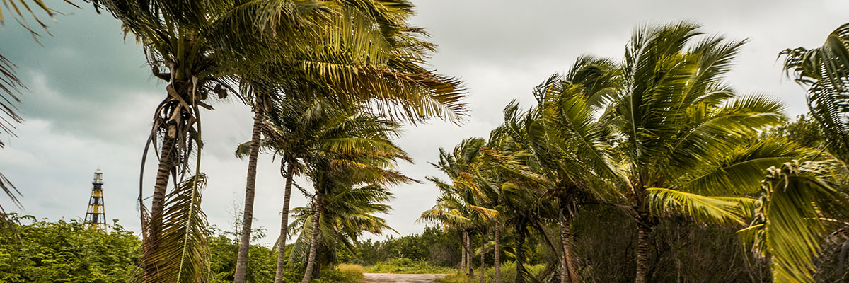 Hurricane Ian Disaster Relief - Janssen and Igar | Certified Public ...